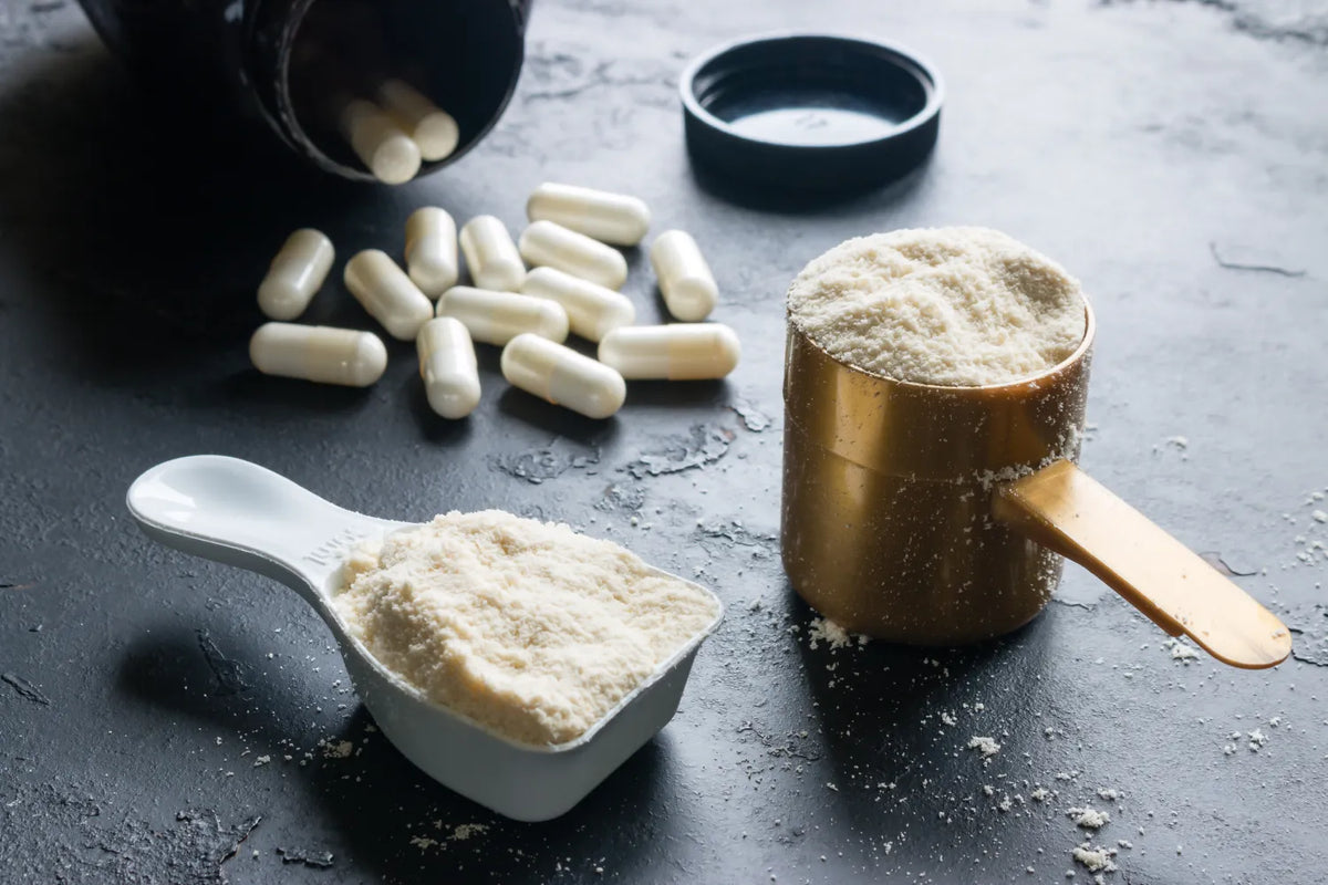 Creatine vs Protein: Comparison and Benefits | CON-CRĒT